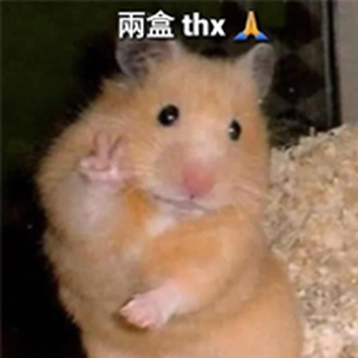 2盒thx WhatsApp Stickers - Stickers Cloud